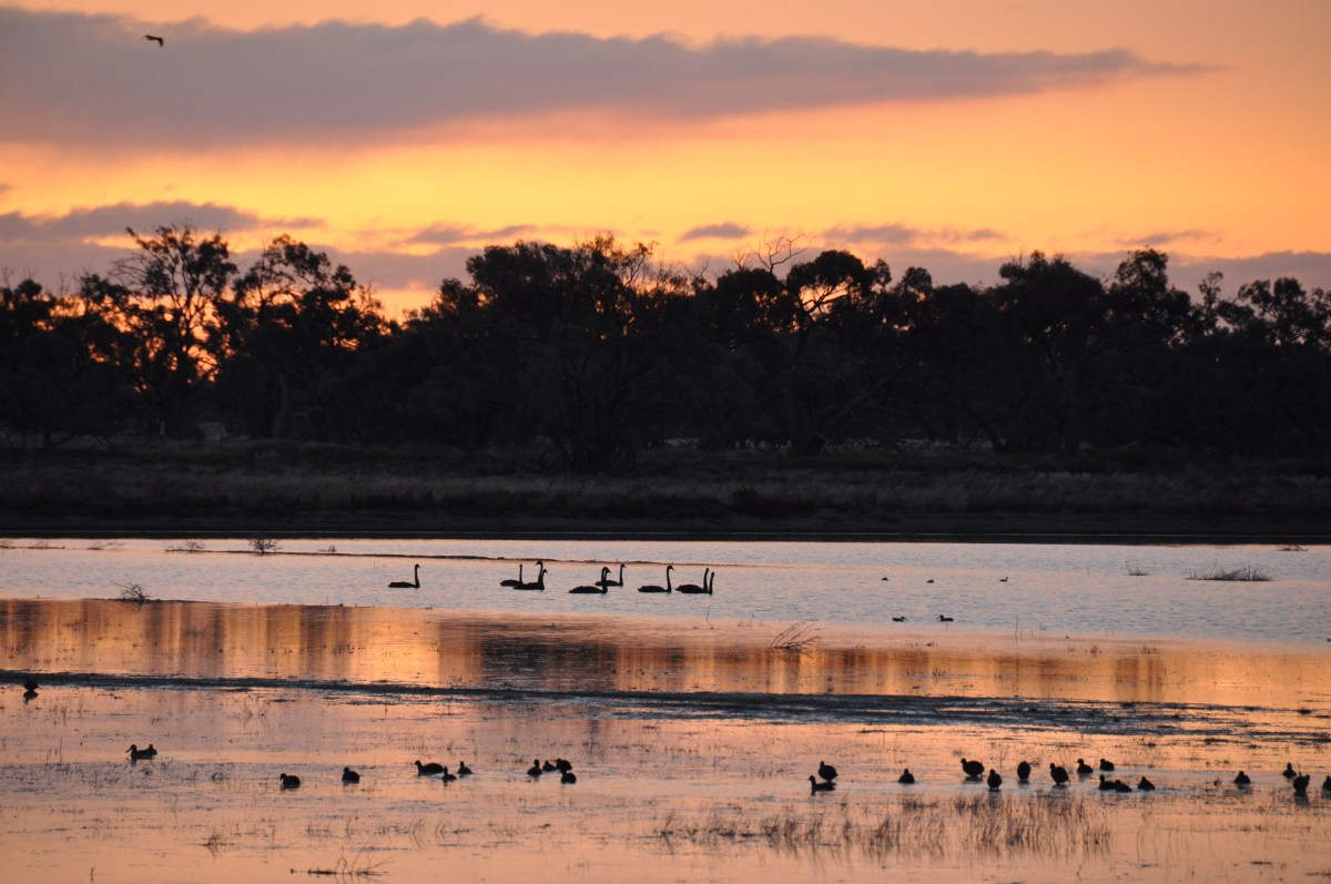 Inland Rivers Network