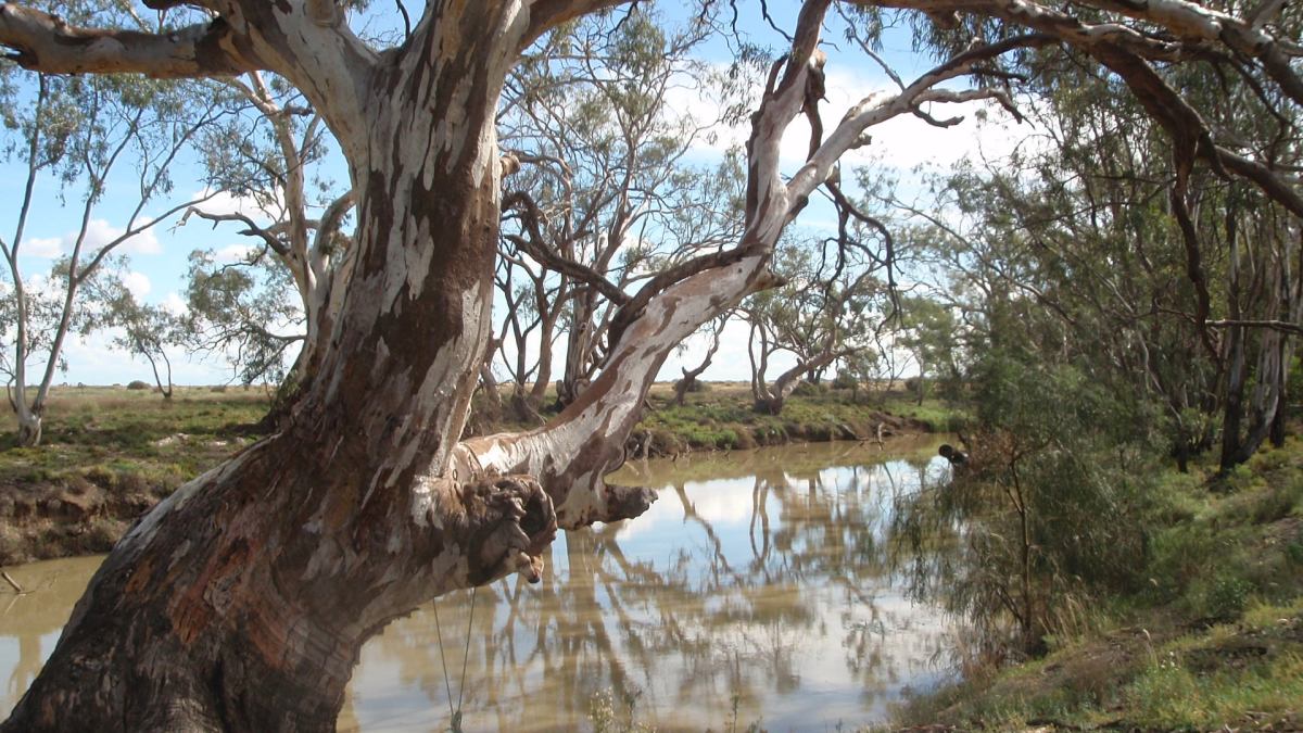 About Inland Rivers Network – Inland Rivers Network