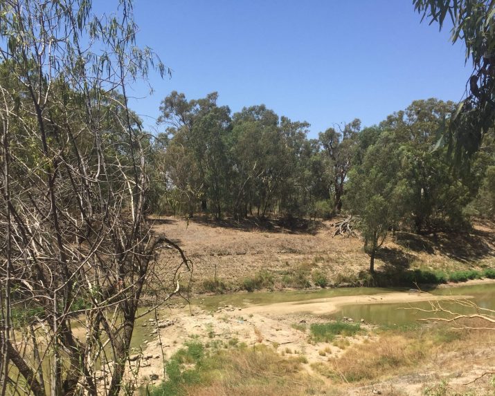 Have your say: Draft Water Sharing Plan for the NSW Great Artesian ...