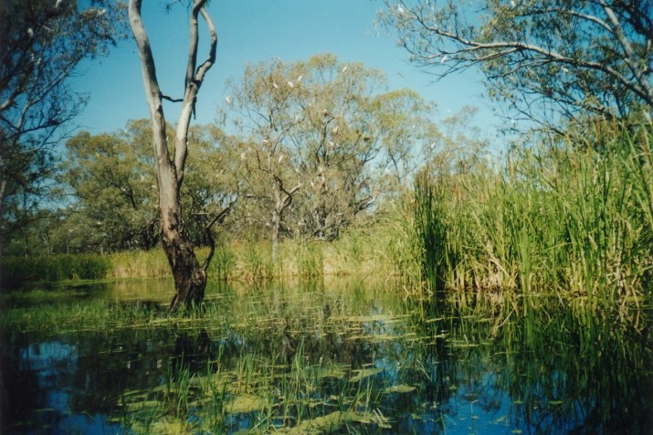 Have your say: Draft Water Sharing Plan for the NSW Great Artesian ...