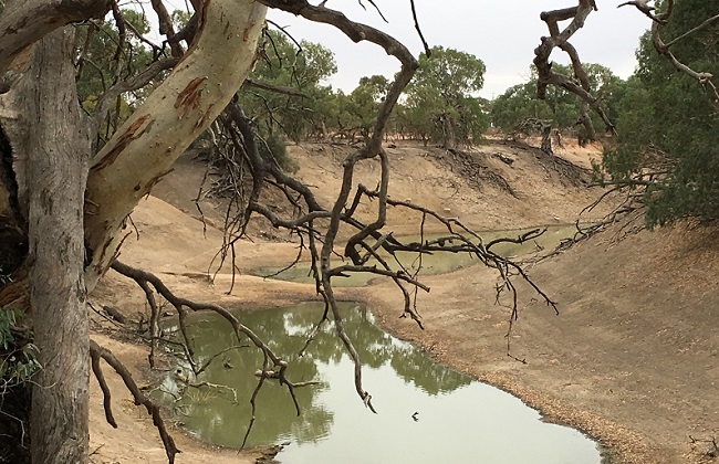 The role of connectivity in maintaining a healthy river system – Inland ...